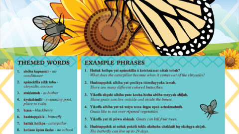 Themed Activities - Choctaw Cultural Legacy